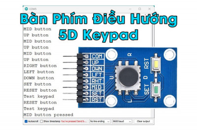 Module Điều Hướng 5D